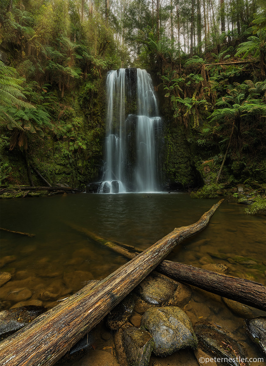 galleries - Peter Nestler