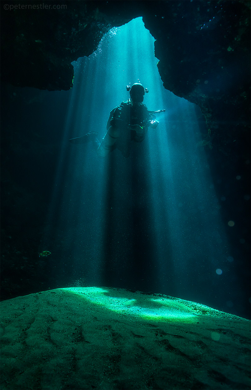 galleries - Peter Nestler