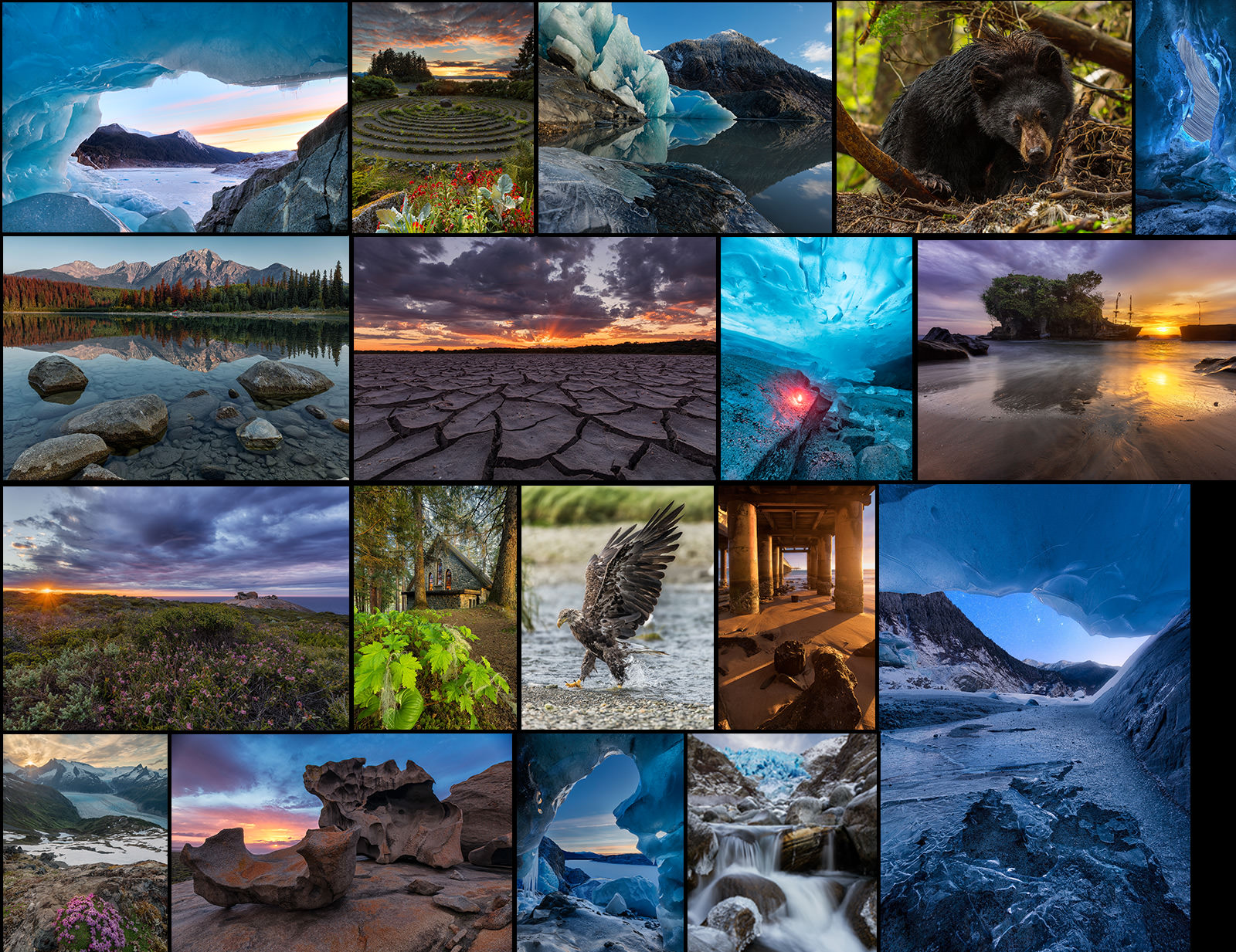 Peter Nestler Photography - Peter Nestler